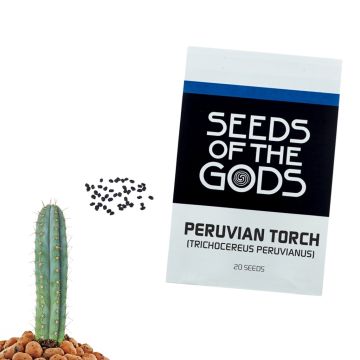 Peruvian Torch Mescaline Cactus Zaden (Mystic Grow)
